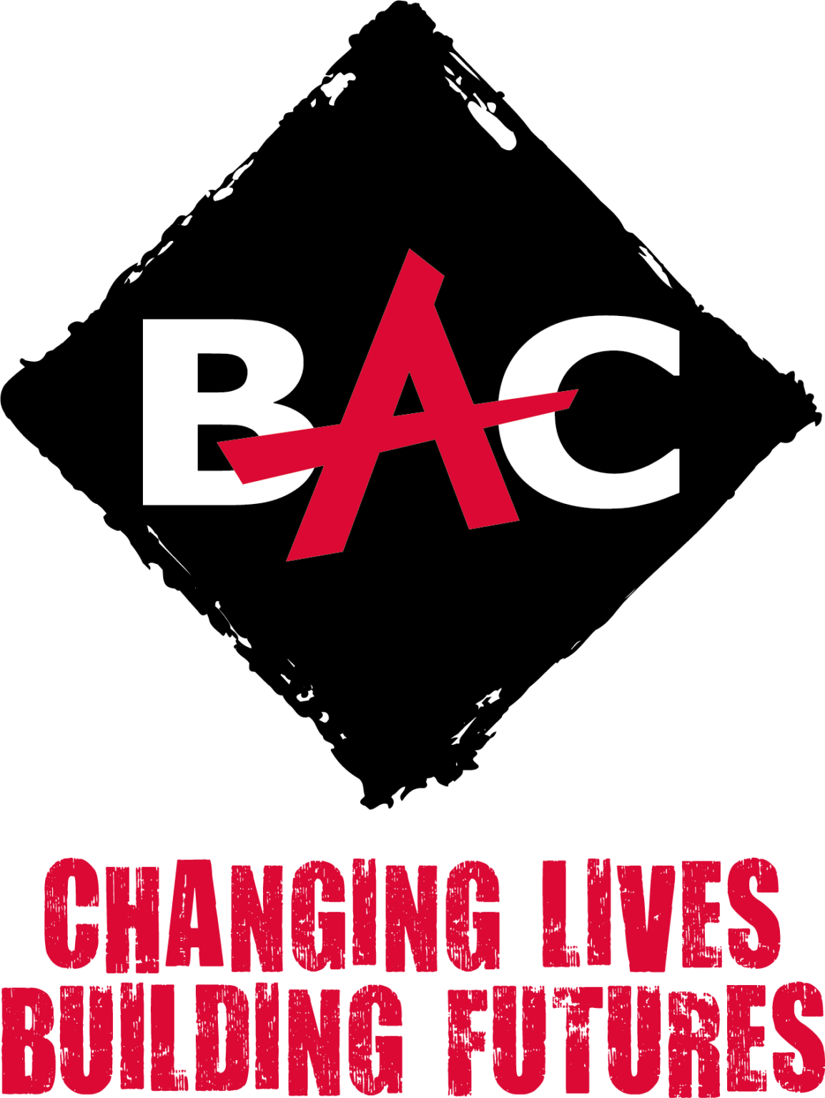 Belfast Summer Activity Schemes - Belfast Activity Centre
